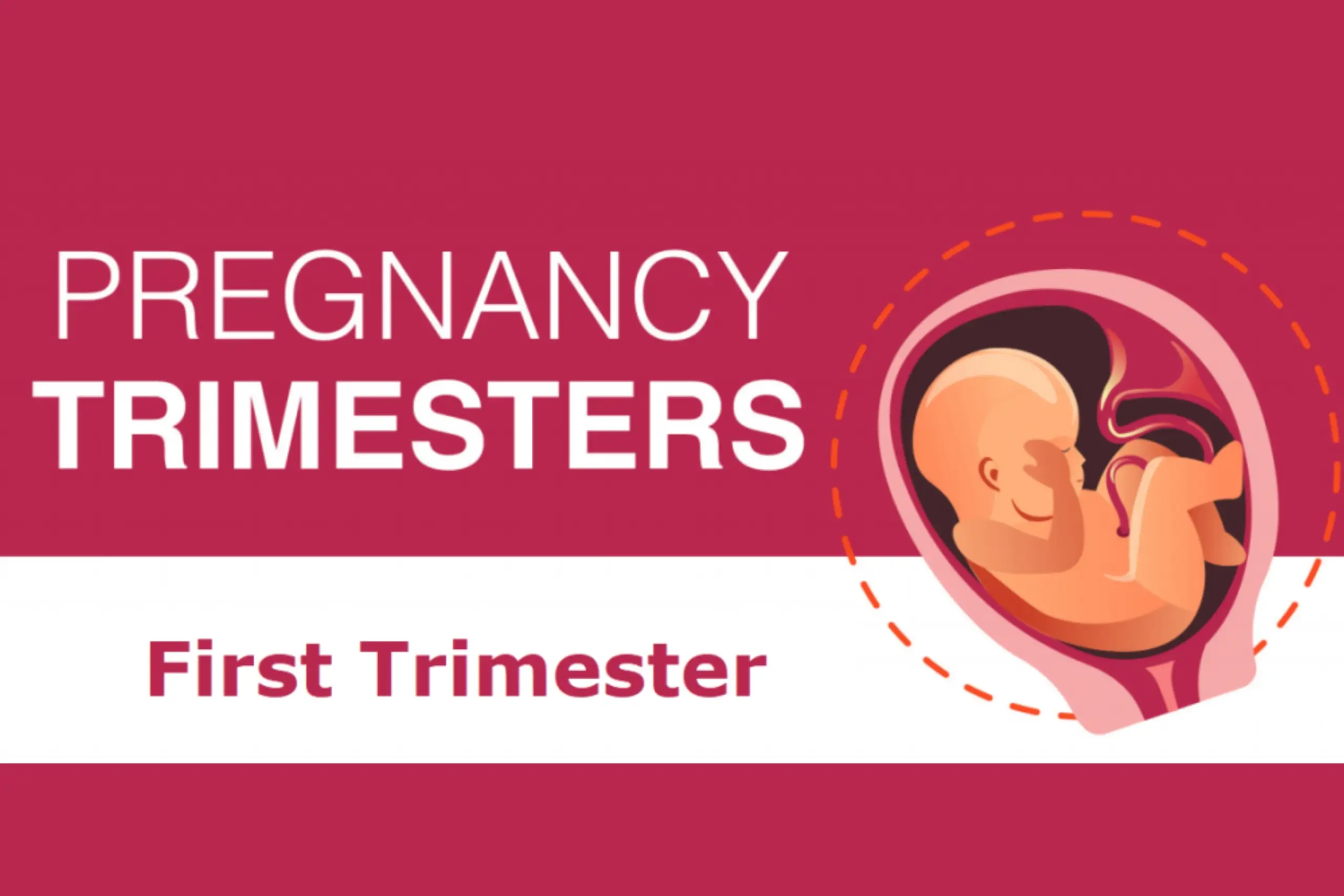 Trimester 1 Diet Plan: What to Eat in a Day During Pregnancy